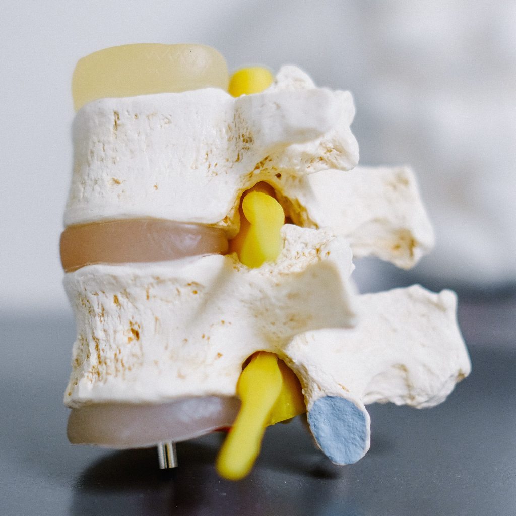 PID regression 2021 – The BMAS Blog